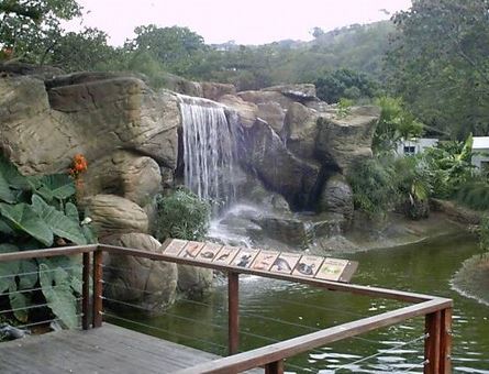 Información Zoológico de Cali Cali