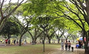 Info Parque del Ingenio | Cali - Colombia