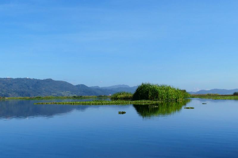 Info Laguna de Fúquene | Boyacá